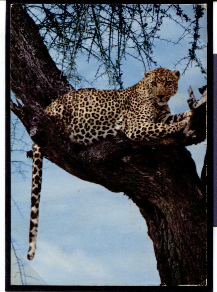 MS2991 1970 TANZANIA *Sir Alan Cobham* SIGNED Hand-Written PPC East ...